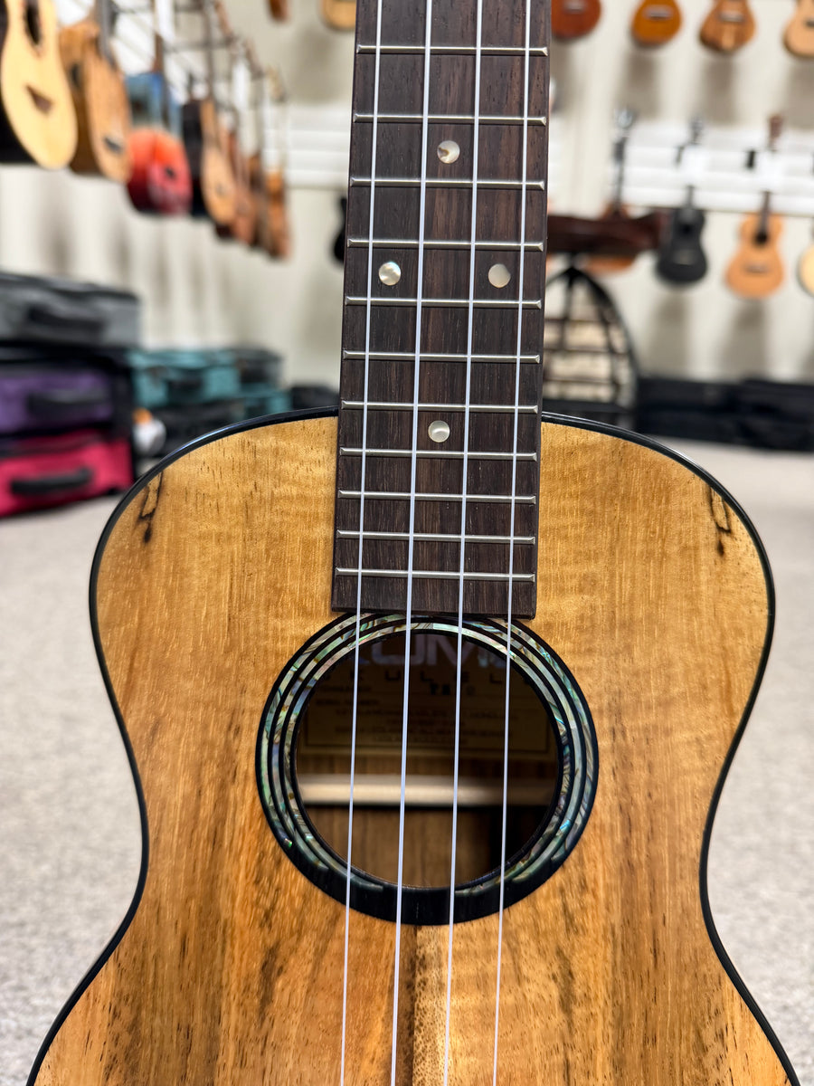KUMU TM-70 Spalted Mango Tenor Ukulele #1 - Aloha City Ukes