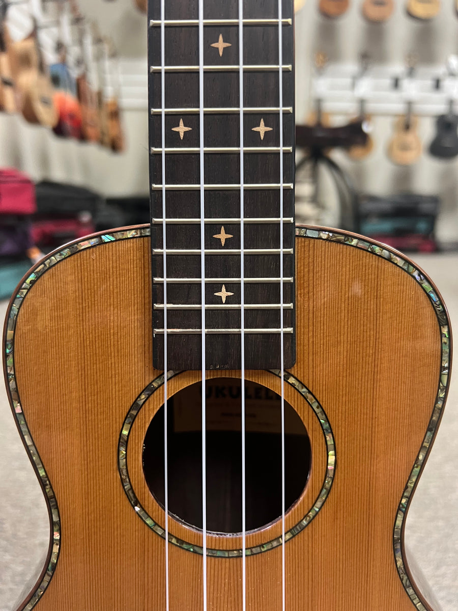 HUG SCR-CG Solid Cedar/Rosewood Concert Ukulele - B-Stock Finish Flaw ...
