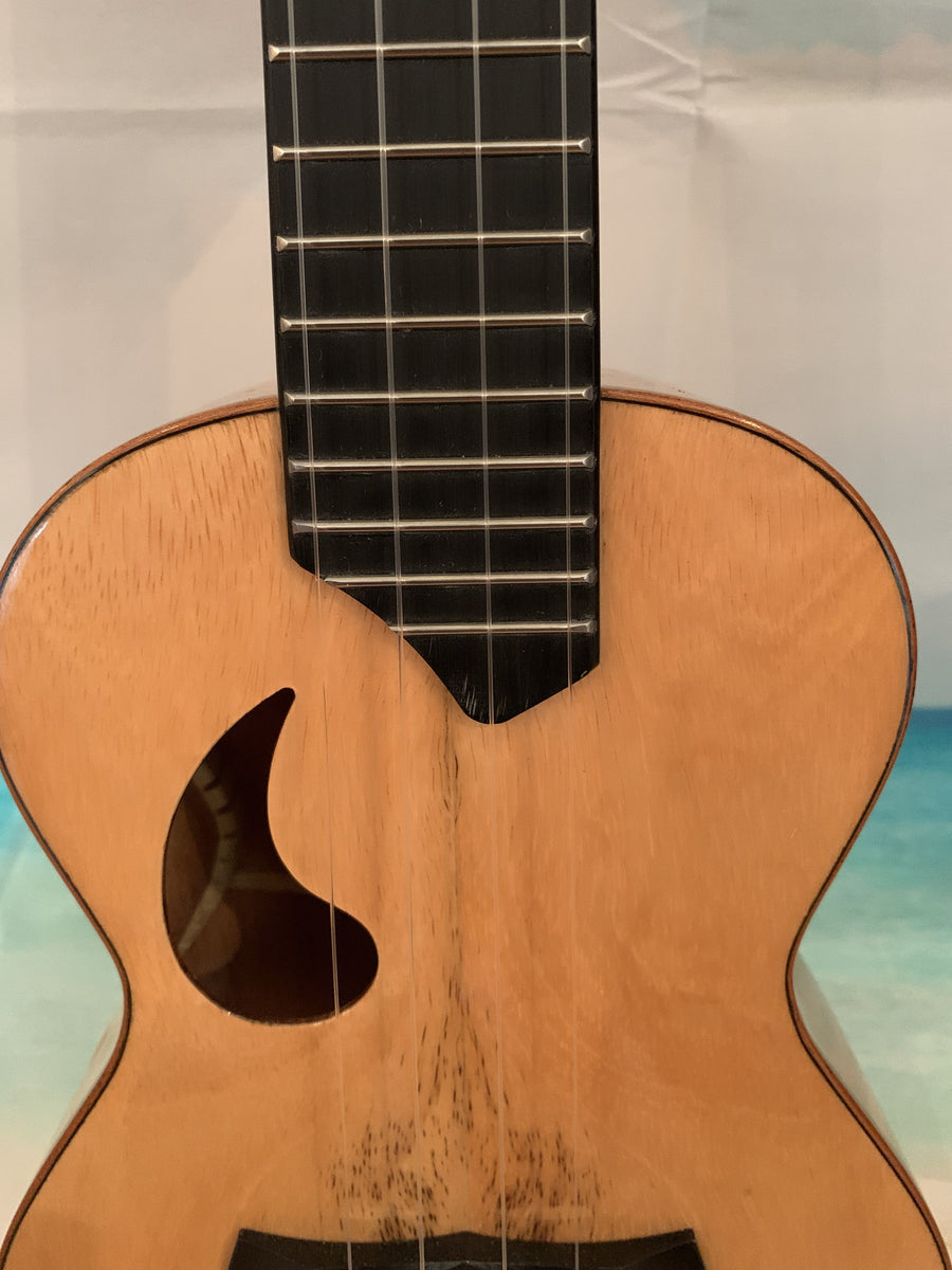 SNAIL Mango Concert Ukulele w/Case - BH-2C Teardrop Soundhole - Aloha ...